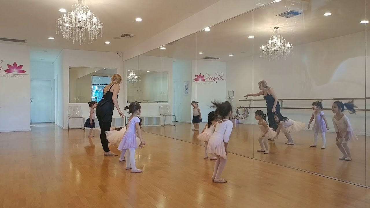 animal action is so much fun! - YouTube