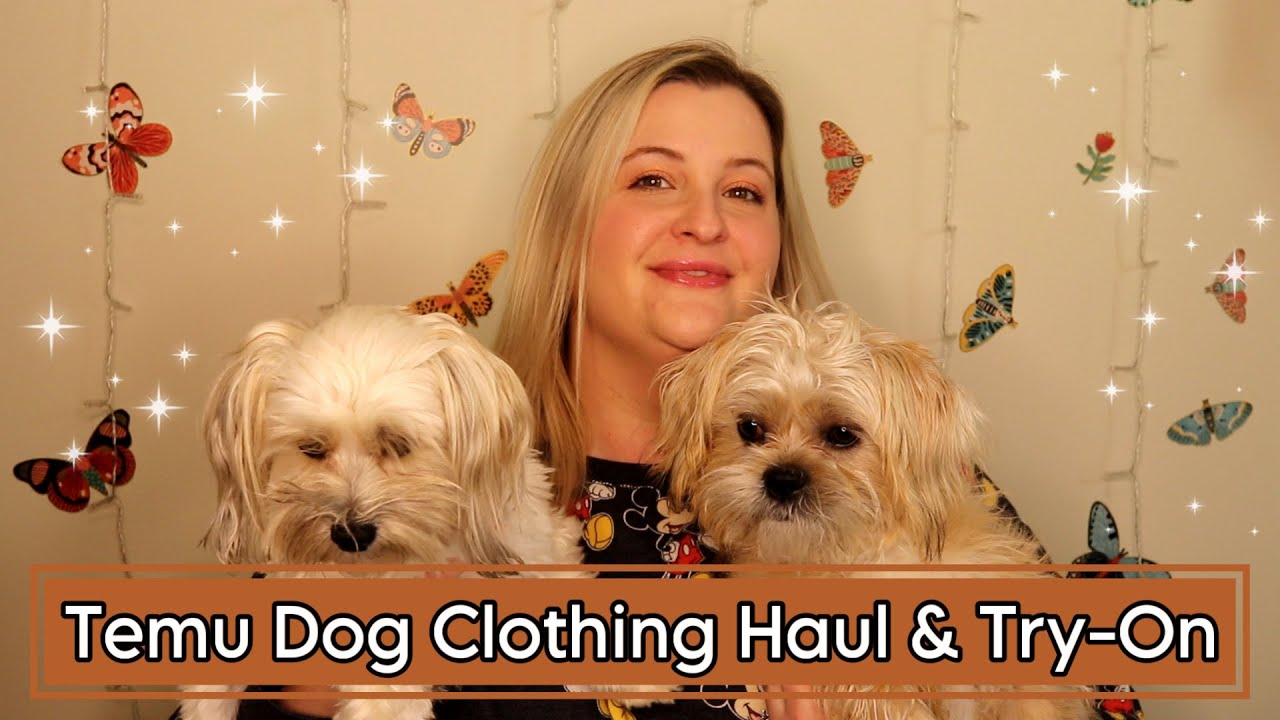 Temu Pet Haul #temu #temuhaul #temufinds - YouTube