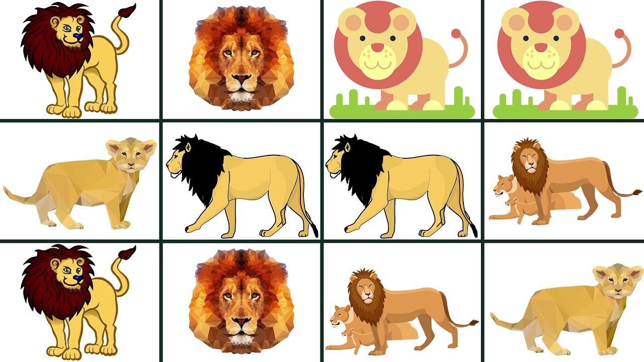 Baby tv animals lions – tjoektjoek - YouTube