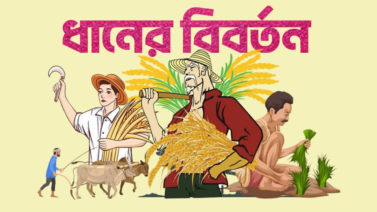 ধান ও চাল কিভাবে পুরো পৃথিবীতে ছড়িয়ে পড়ল? - A Brief History of Paddy ...