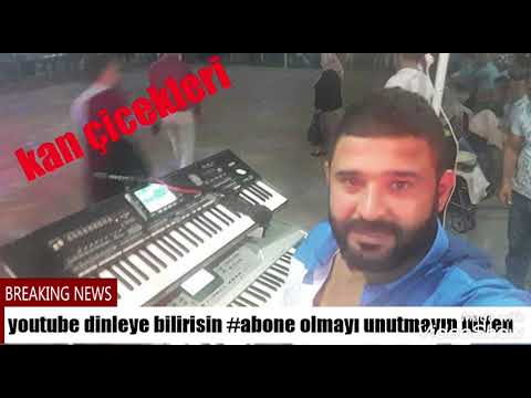 ARTARMUZIK kan çicekleri