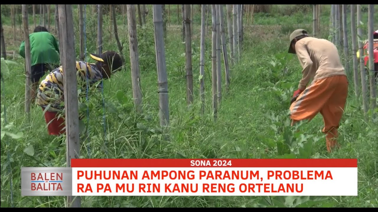 Puhunan ampong paranum, problema ra pa mu rin kanu reng ortelanu ...