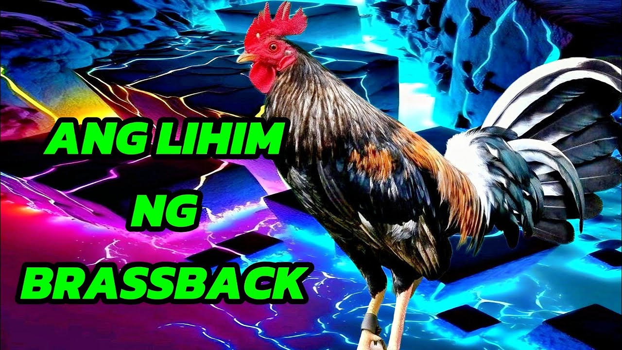 ANG MISTERYO NG BRASSBACK ROOSTER: TAPANG O KABUTIHAN? - YouTube