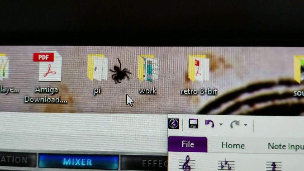 jumping spider vs. mouse - YouTube