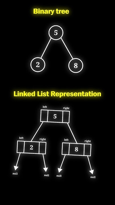 Binary Tree Linkedlist Representation Shorts Tree Dsa Datastructure Coding Cse Youtube