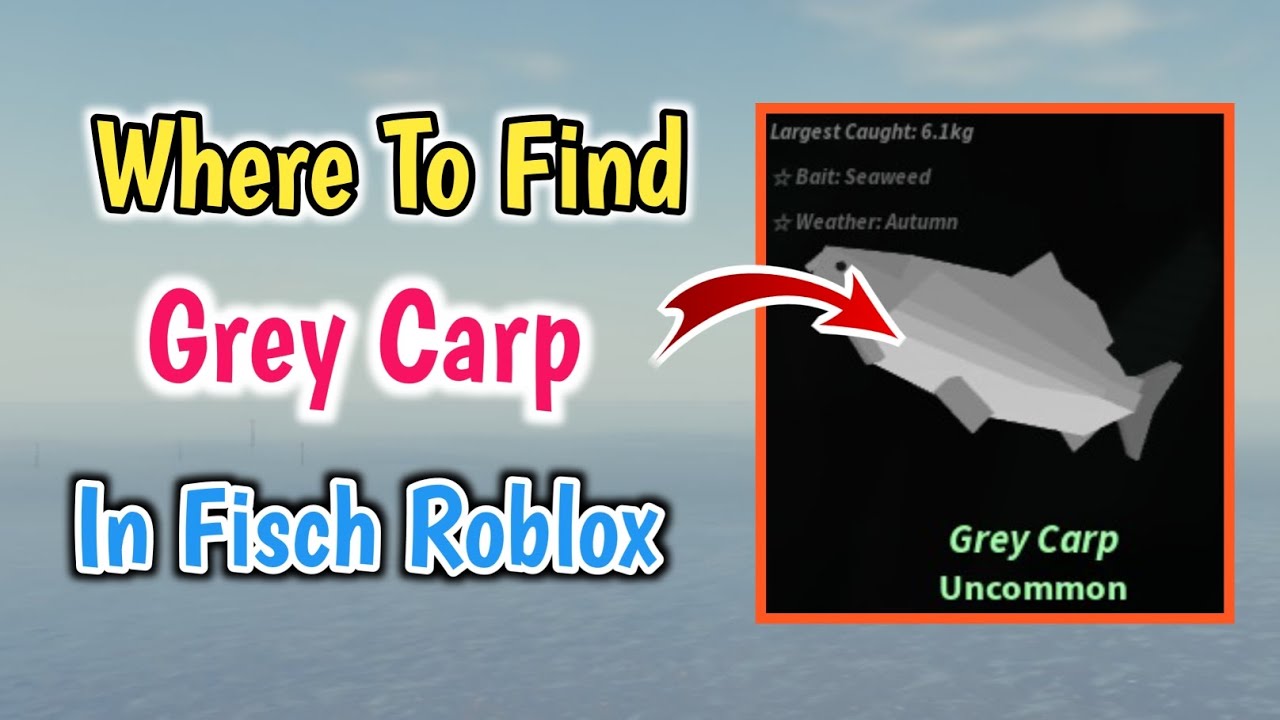 Where To Find Grey Carp Fish In Fisch Roblox | Grey Carp Fish Location ...