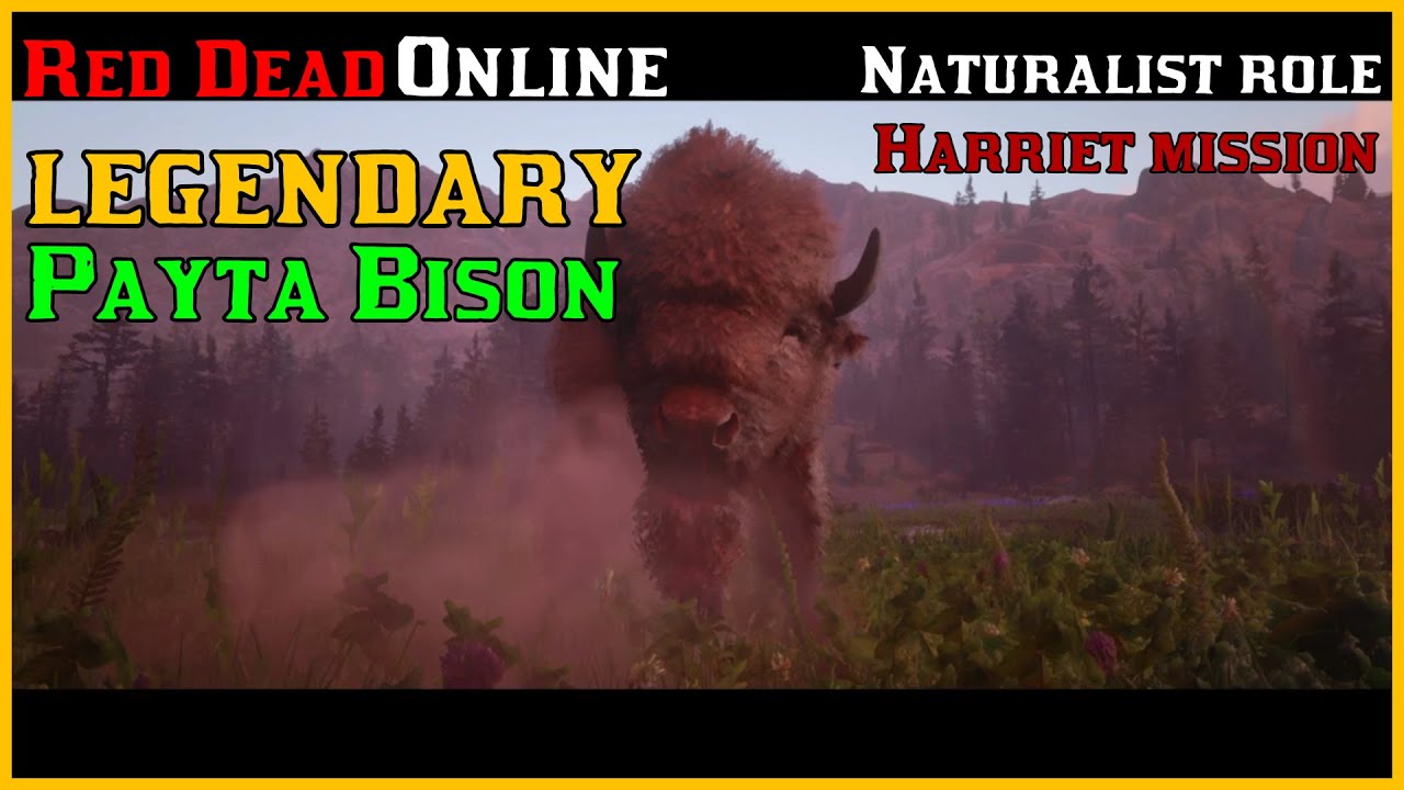 Red Dead Online LEGENDARY Animal Payta Bison | Naturalist Role Harriet ...