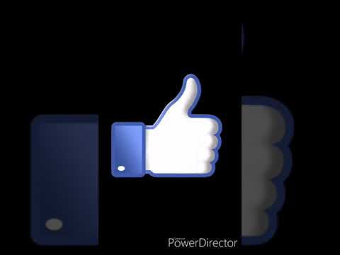 Kuchek original ORG 2020