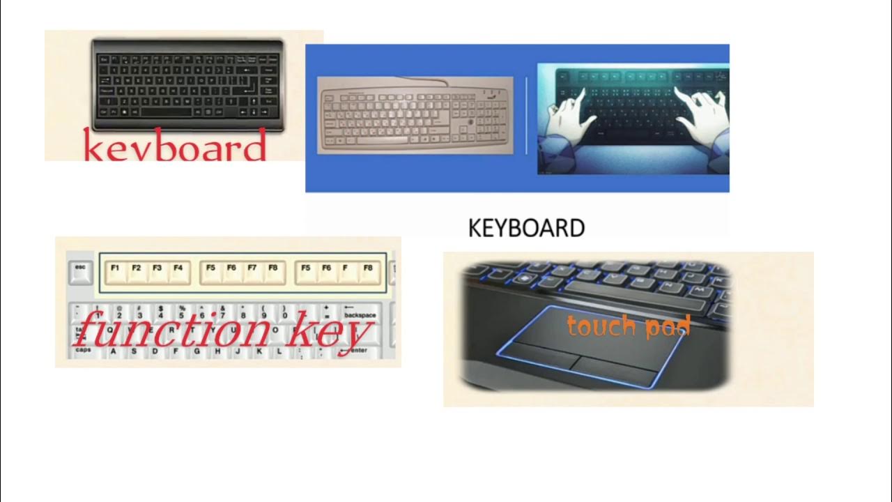 computer Basics :computer hardware parts - YouTube
