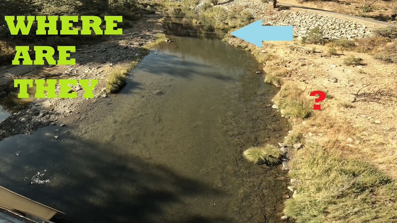 SPANISH CREEK FISHING FOR TROUT WITH STUNNING SCENERY - YouTube