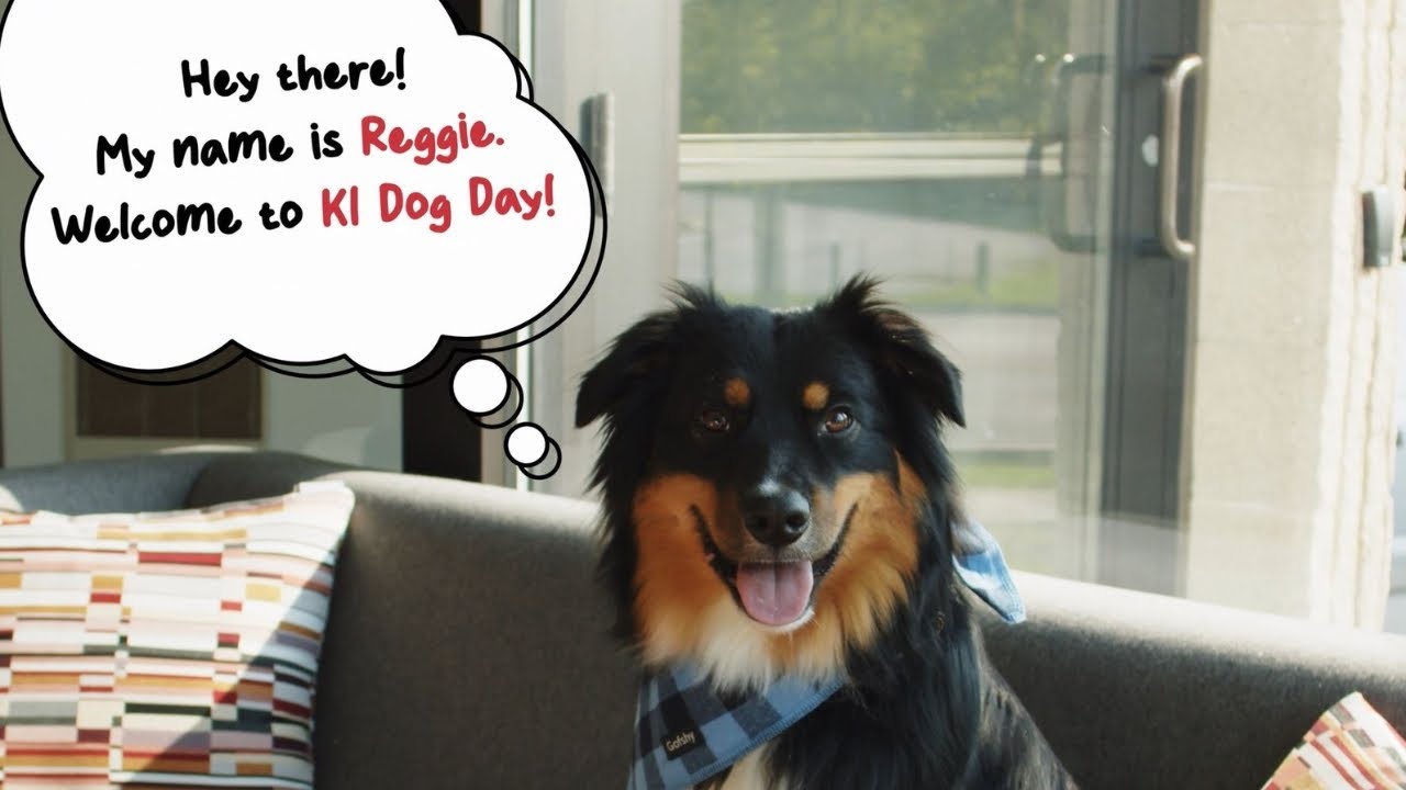 Pawsome Day at KI! Bring Your Dog to Work Day 2023 🐾🎉 - YouTube