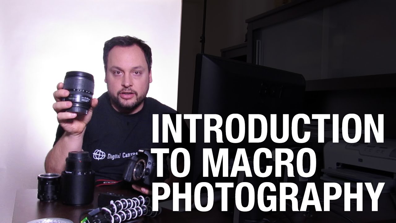 Beginners Guide to Macro Photography: Equipment, Setup, Tricks and Tips ...