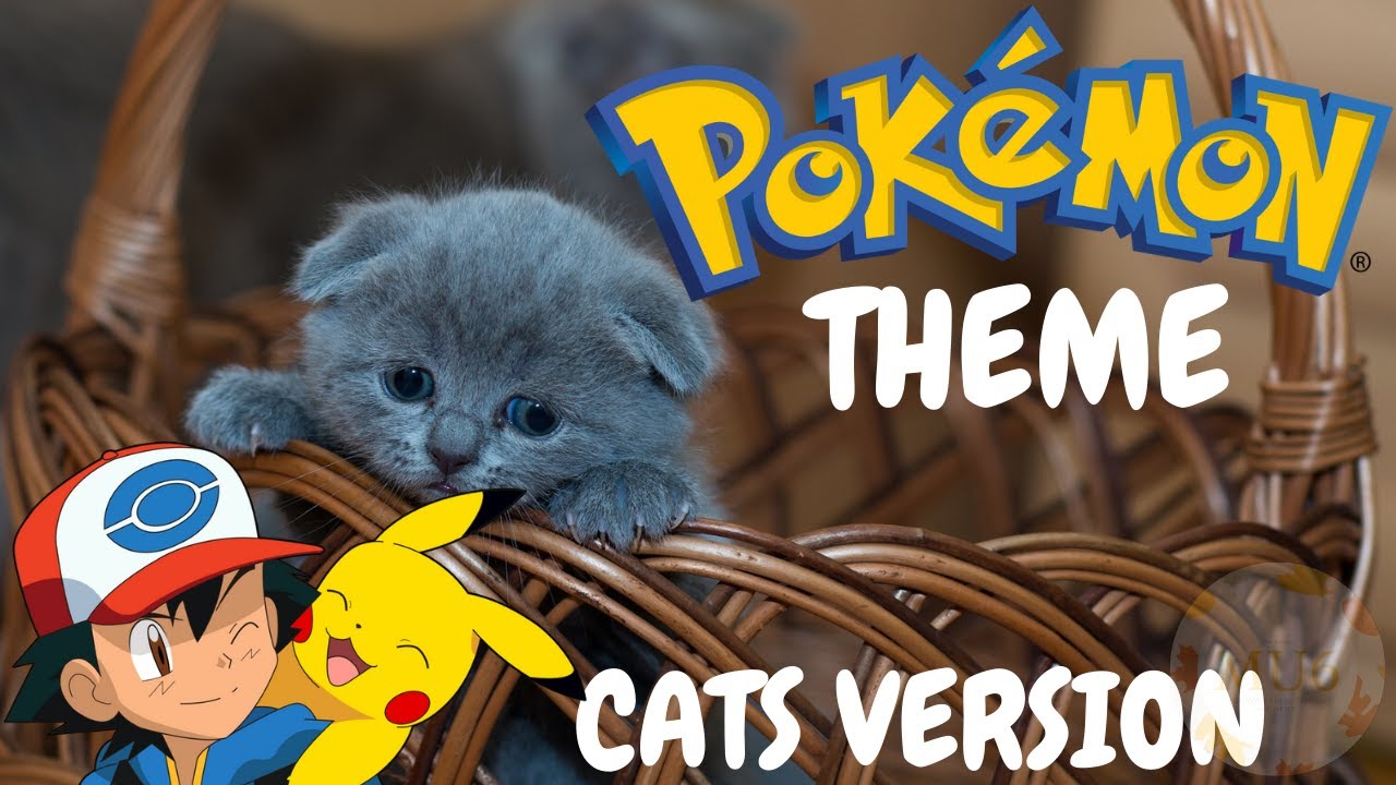 Cats Sing Pokemon Theme | Cats Singing Song Parody - YouTube