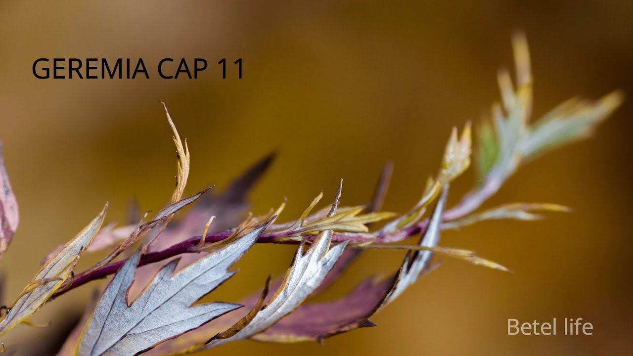 GEREMIA CAPITOLO 11 LETTURA AUDIO E VIDEO - YouTube