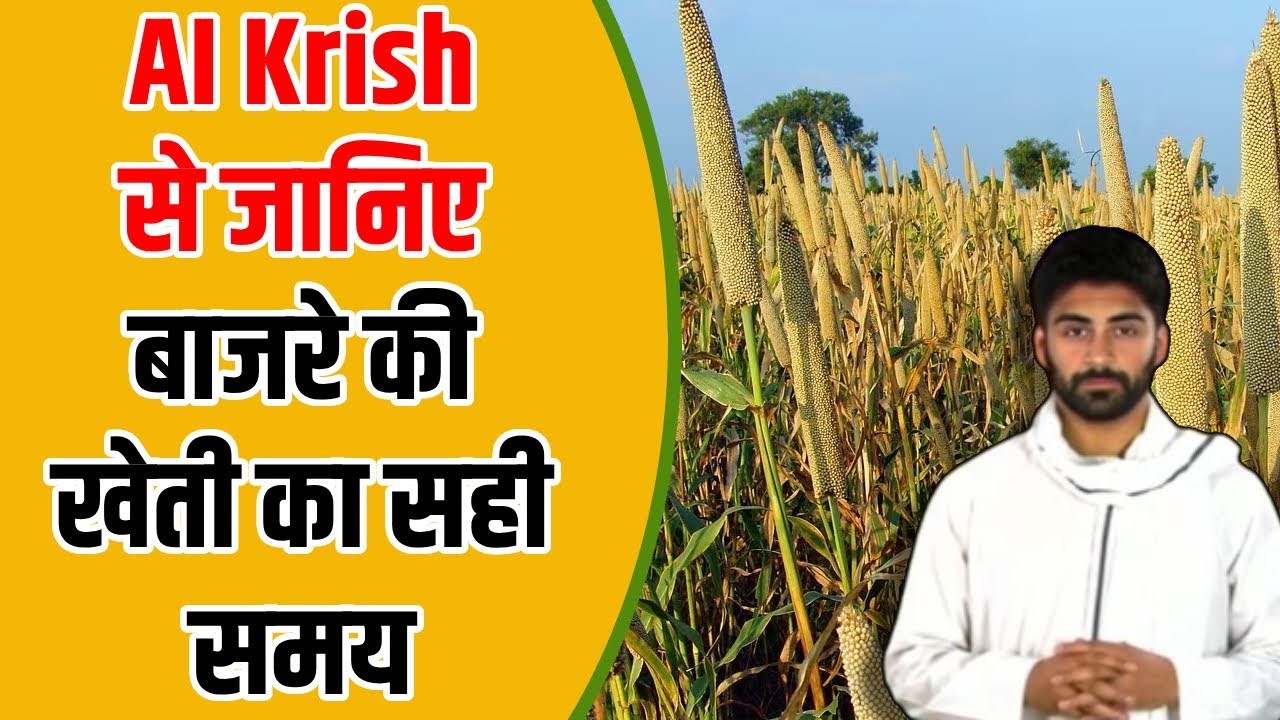 AI Krish से जानिए बाजरे की खेती का सही समय | Farmer News | DD Kisan ...