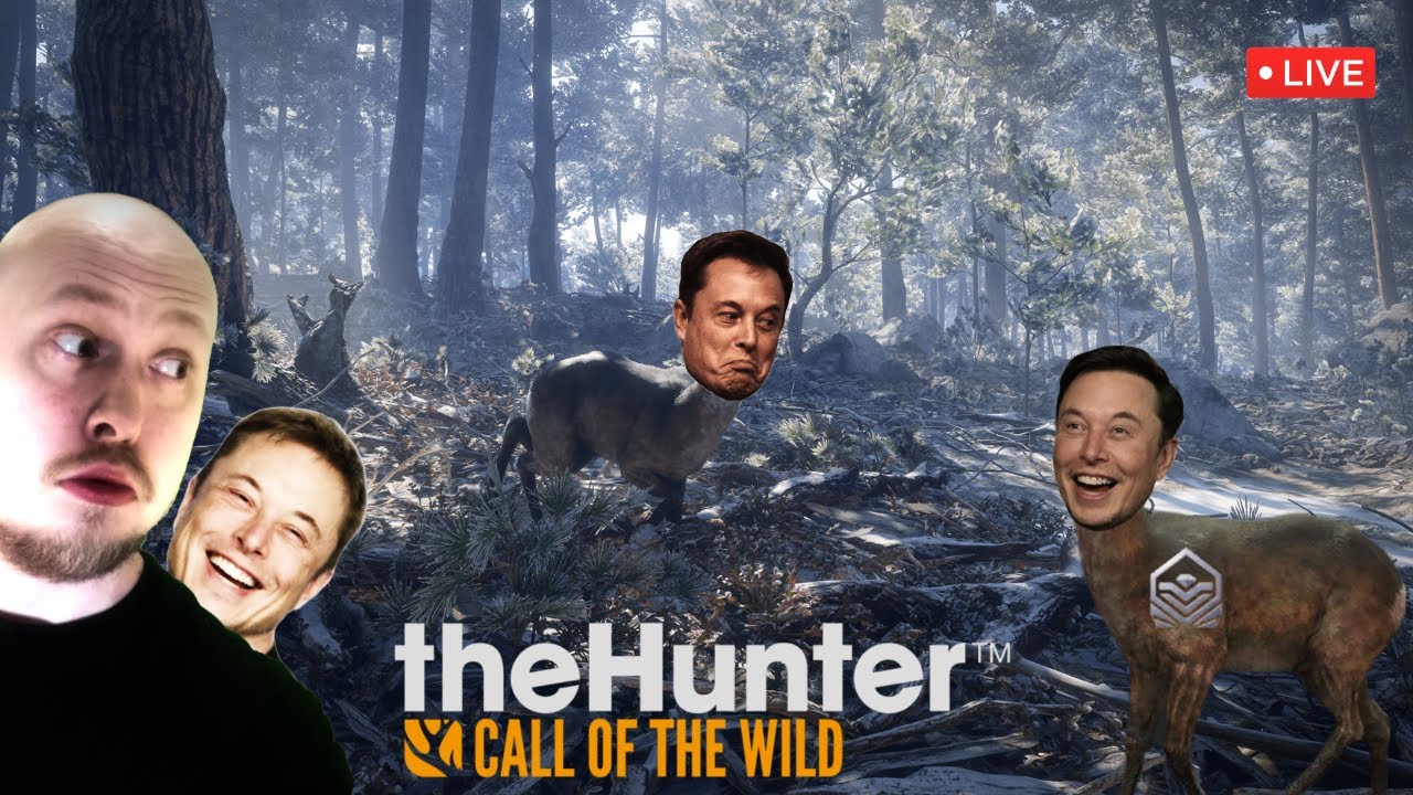 (Elon) Musk Deer Timu on paikannettu, Nyt Se pitää kaataa! - YouTube