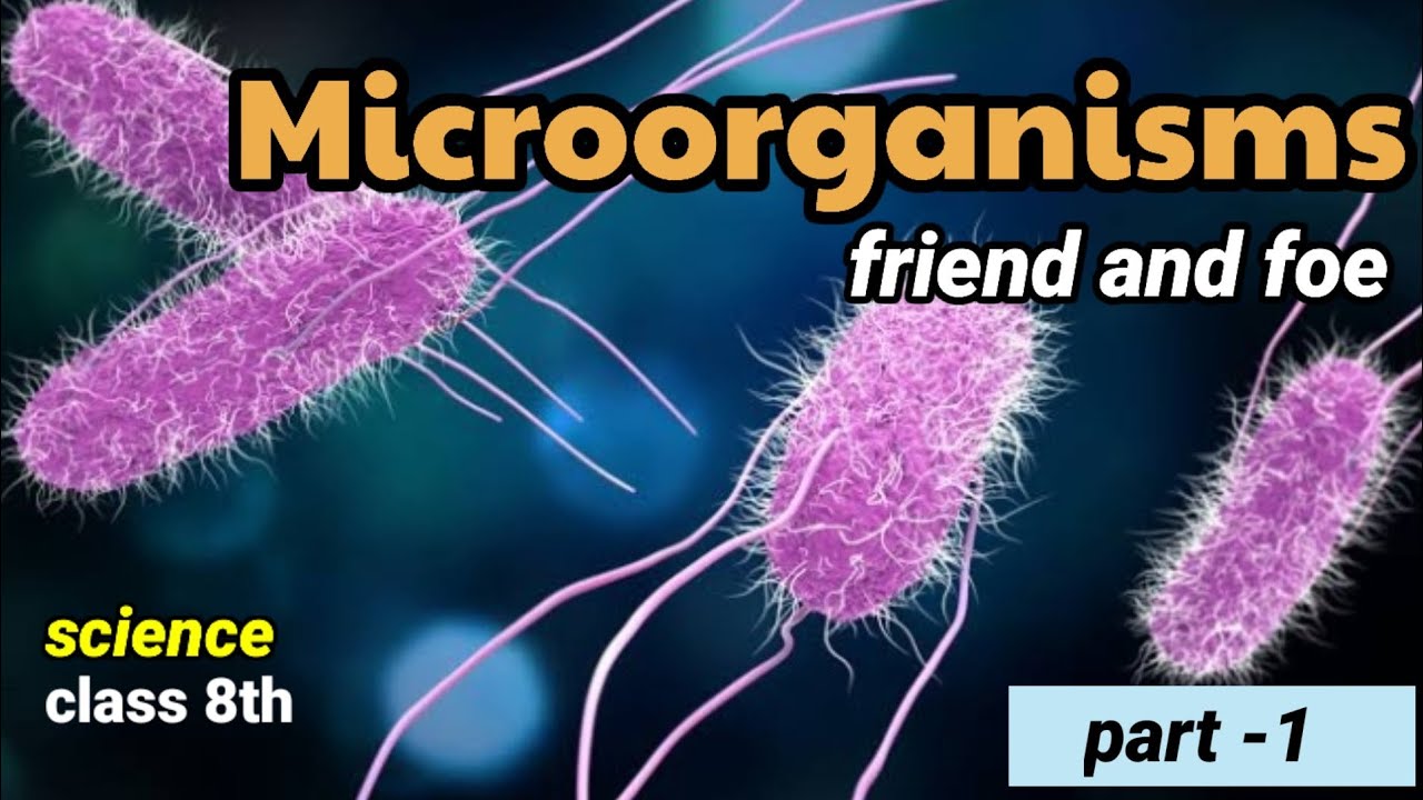 Microorganisms: Friend and Foe Science class 8th - YouTube
