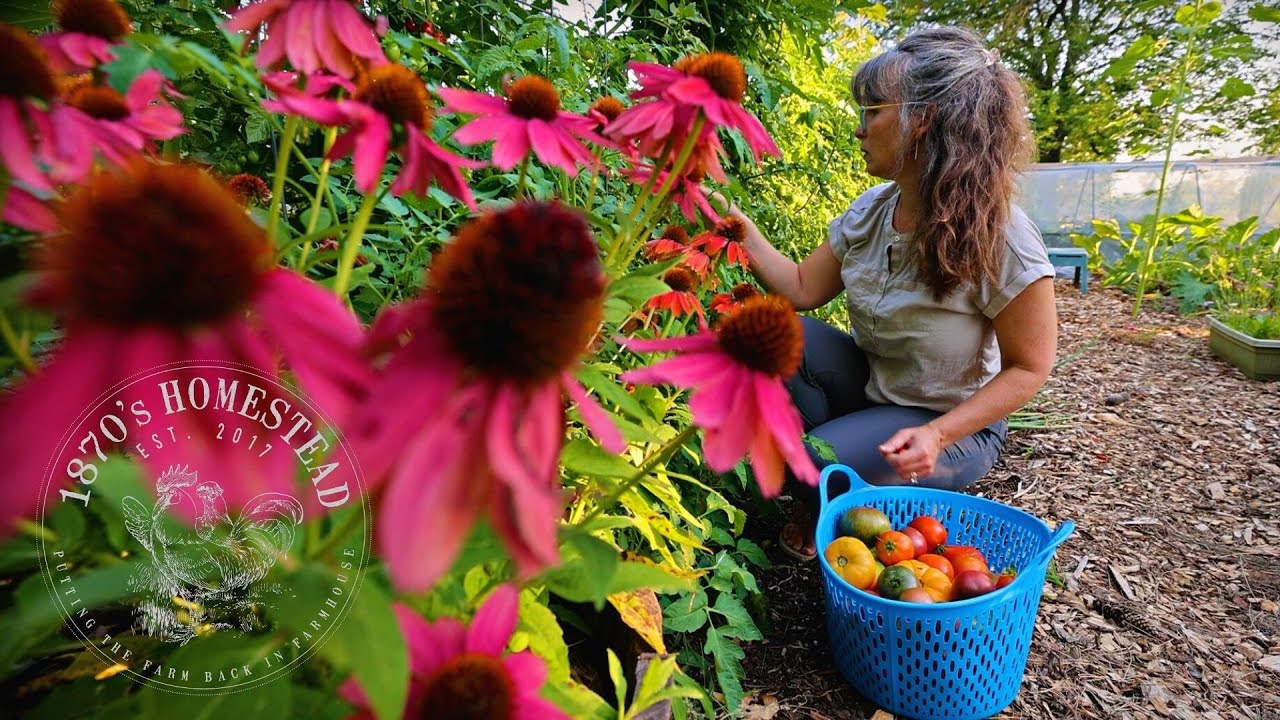 The Most Beautiful Homestead Evening Harvest | Sights & Sounds - YouTube