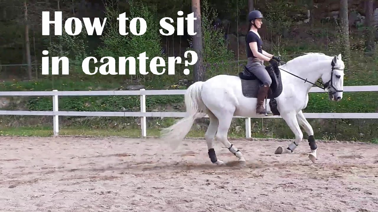 Canter seat: How to sit in canter + typical mistakes! (+slow motion ...