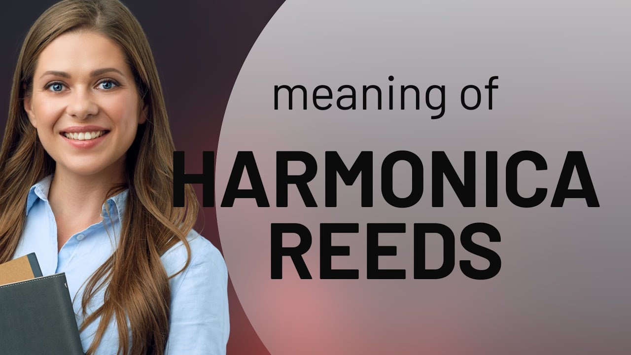 Harmonica Reeds: Understanding Their Role in Music - YouTube
