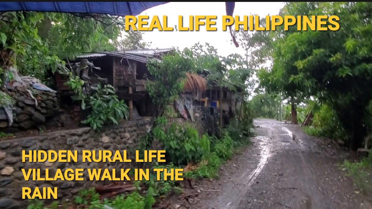 Walk in the rain with umbrella Hidden rural life village/ Real Life ...