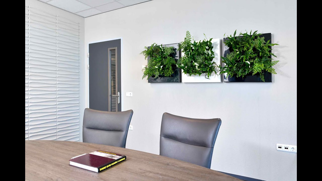 BioMontage LIVE! Installation - YouTube