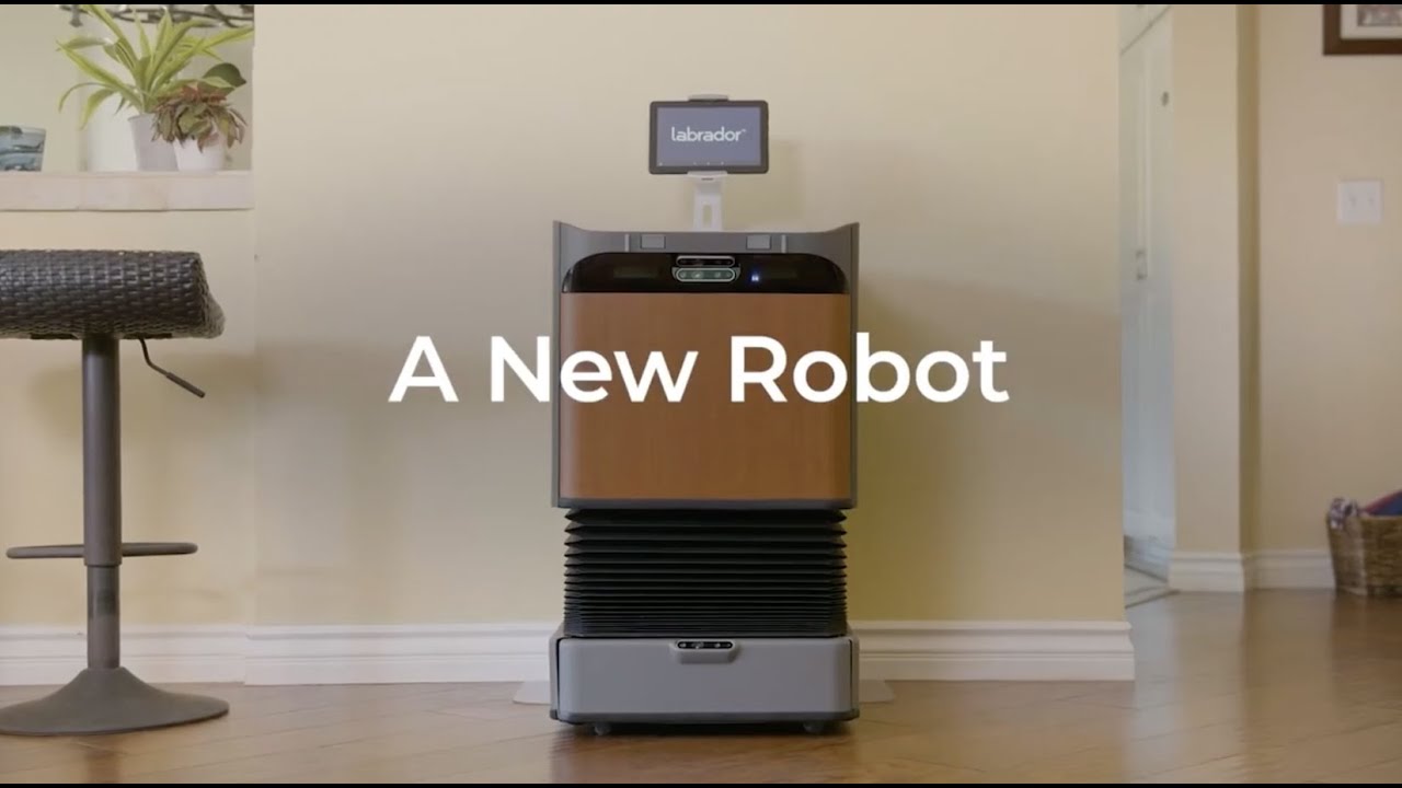 Meet Amazon-Backed Labrador Retriever: The Self-Navigating, Assistive ...