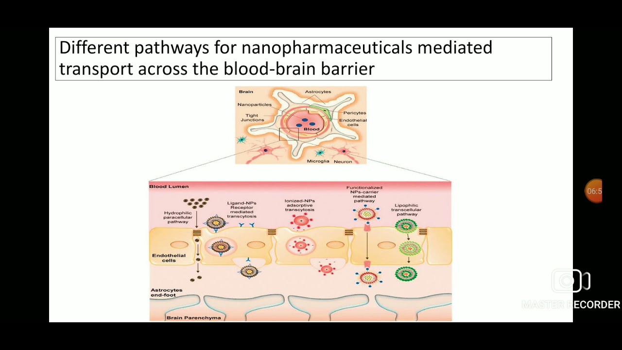 Nano materials for brain disorders - YouTube