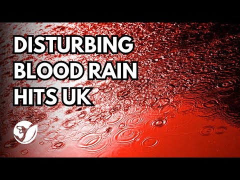 BLOOD RAIN: What is it and where does it come from? Climatic Phenomenon ...