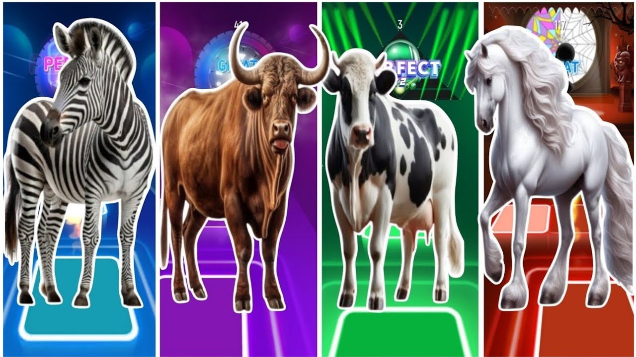 Funny Zebra 🆚 Funny Bull 🆚 Funny Cow 🆚 Funny Horse 🆚 Who Will Win - YouTube