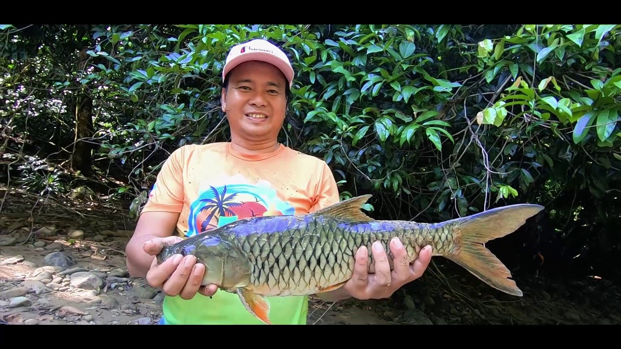 Highlights Expedisi Ke.KgYahou Pensiangan 2020 - YouTube