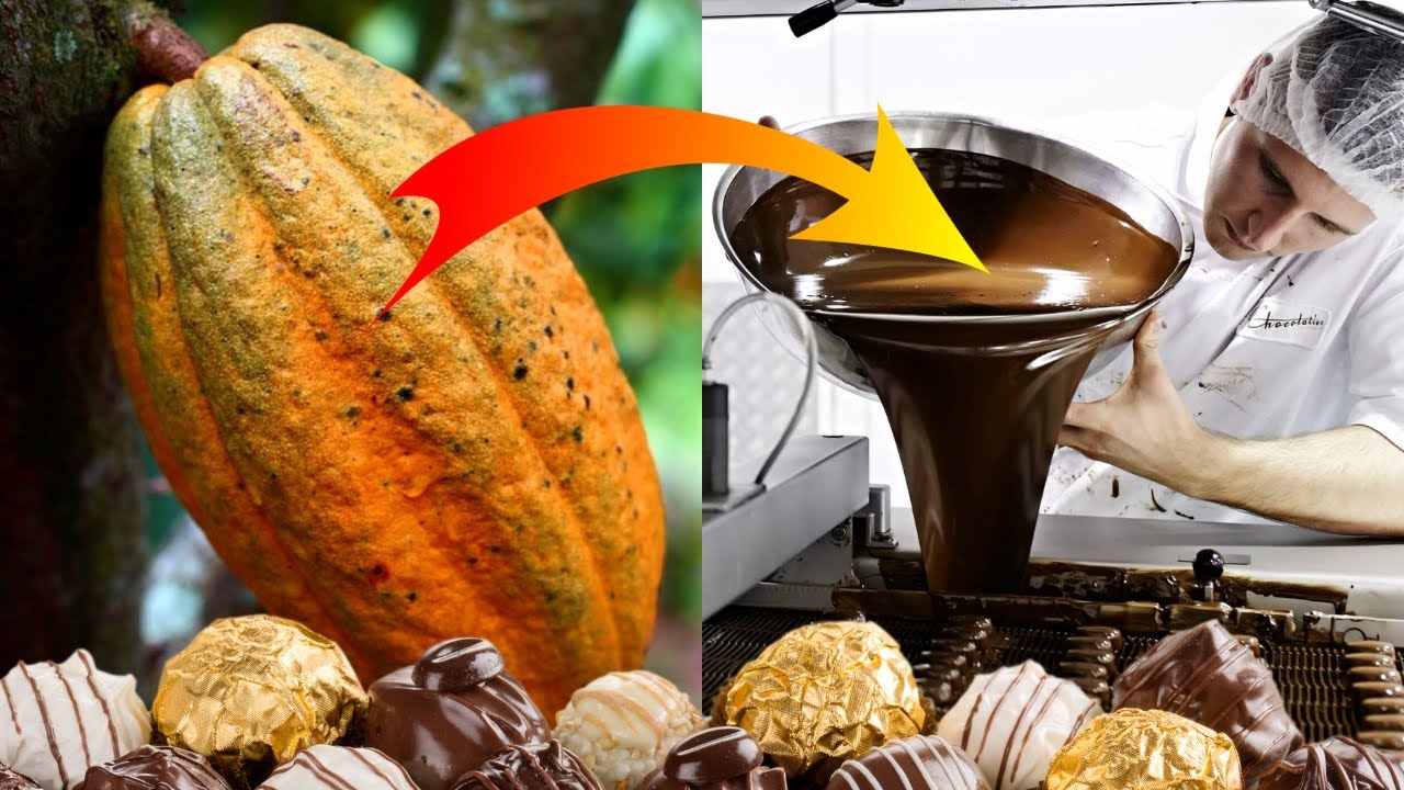 How Chocolate Is Made - YouTube