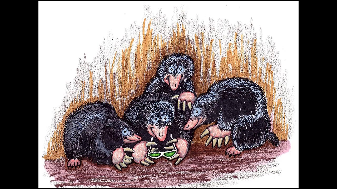 The Mole Who Got Spectacles - YouTube