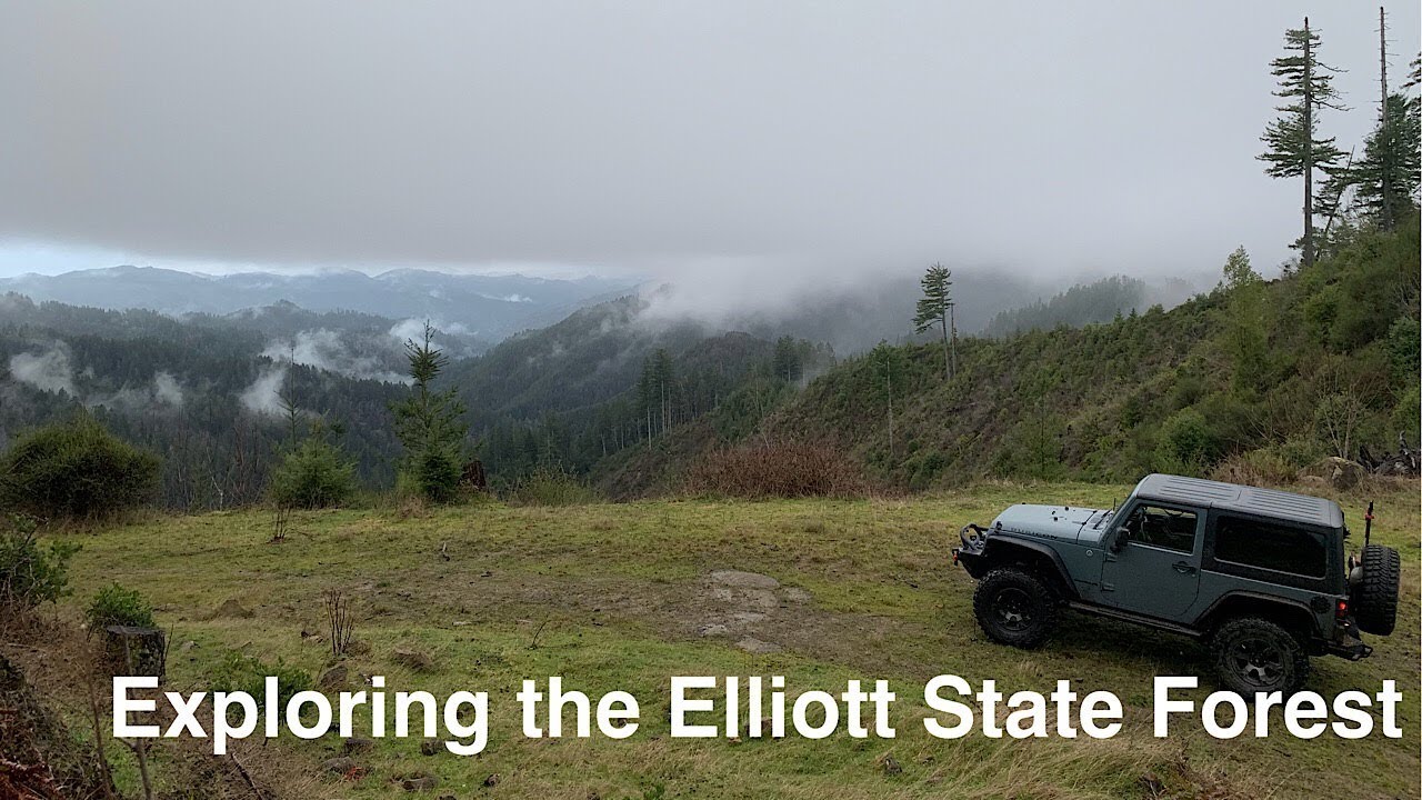 Exploring The Elliott State Forest On Super Bowl Sunday - YouTube