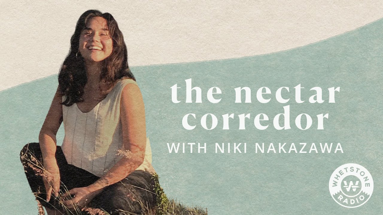 The Nectar Corridor - Trailer - YouTube