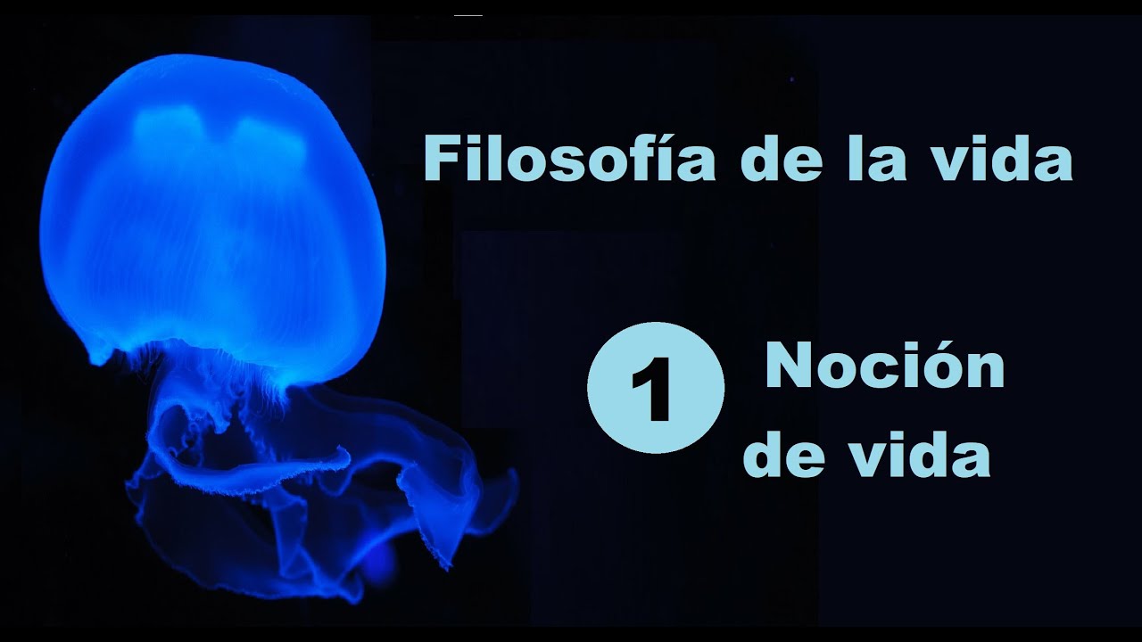 Filosofía de la vida: noción de vida (parte 1) - YouTube