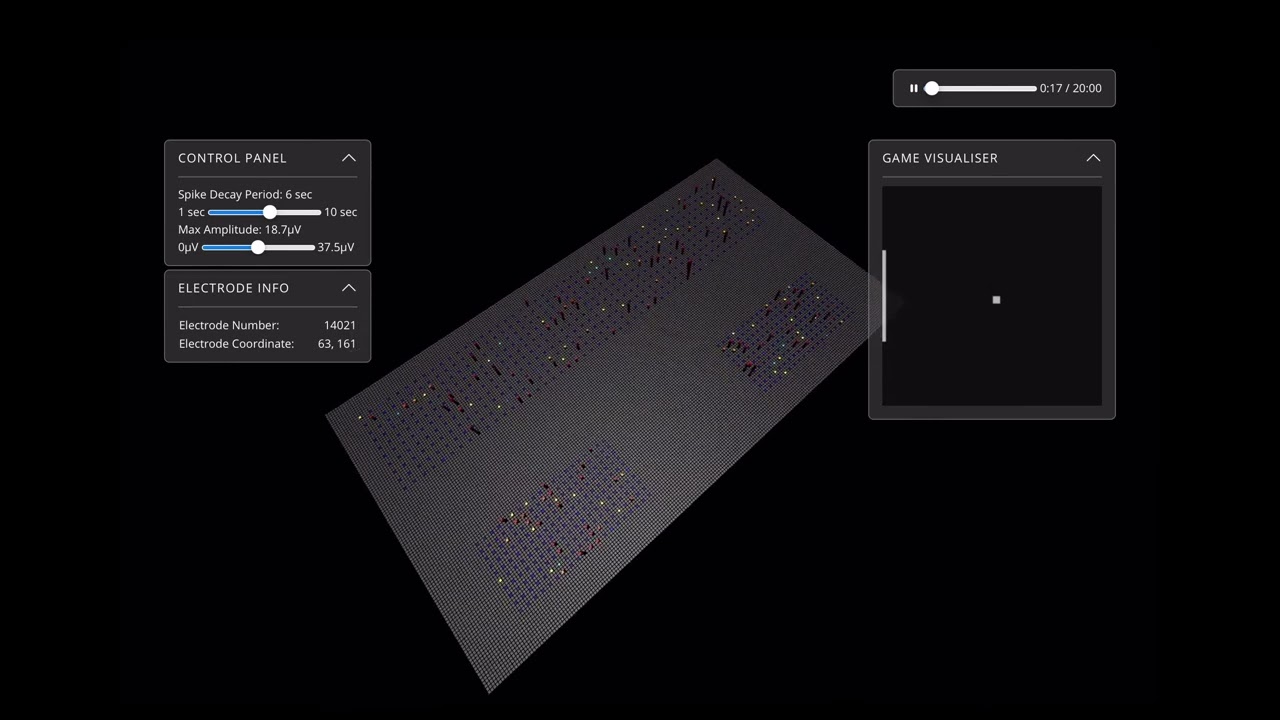 Watch brain cells in a dish learn to play Pong in real time [2/2] - YouTube