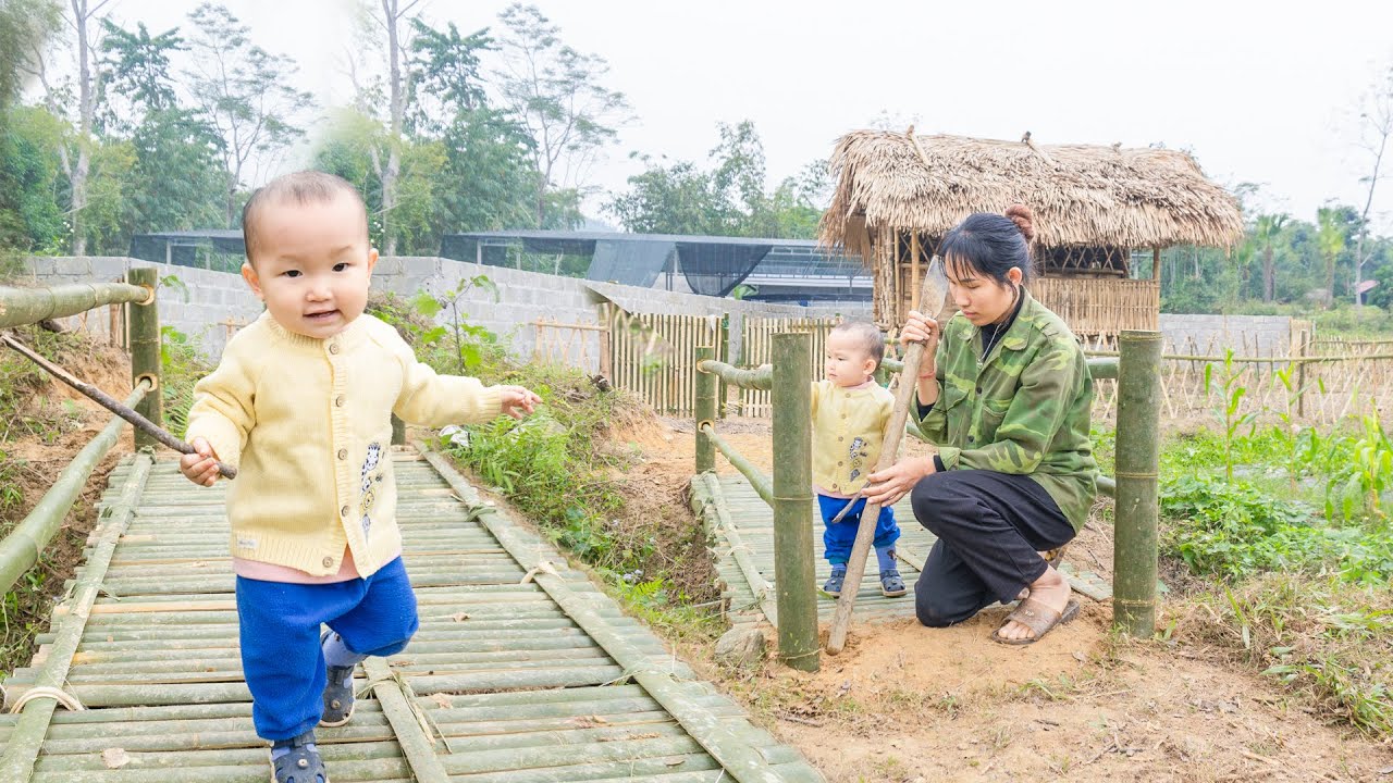 Build bamboo fence, bamboo bridge - Complete housing area. Ly Thi ...