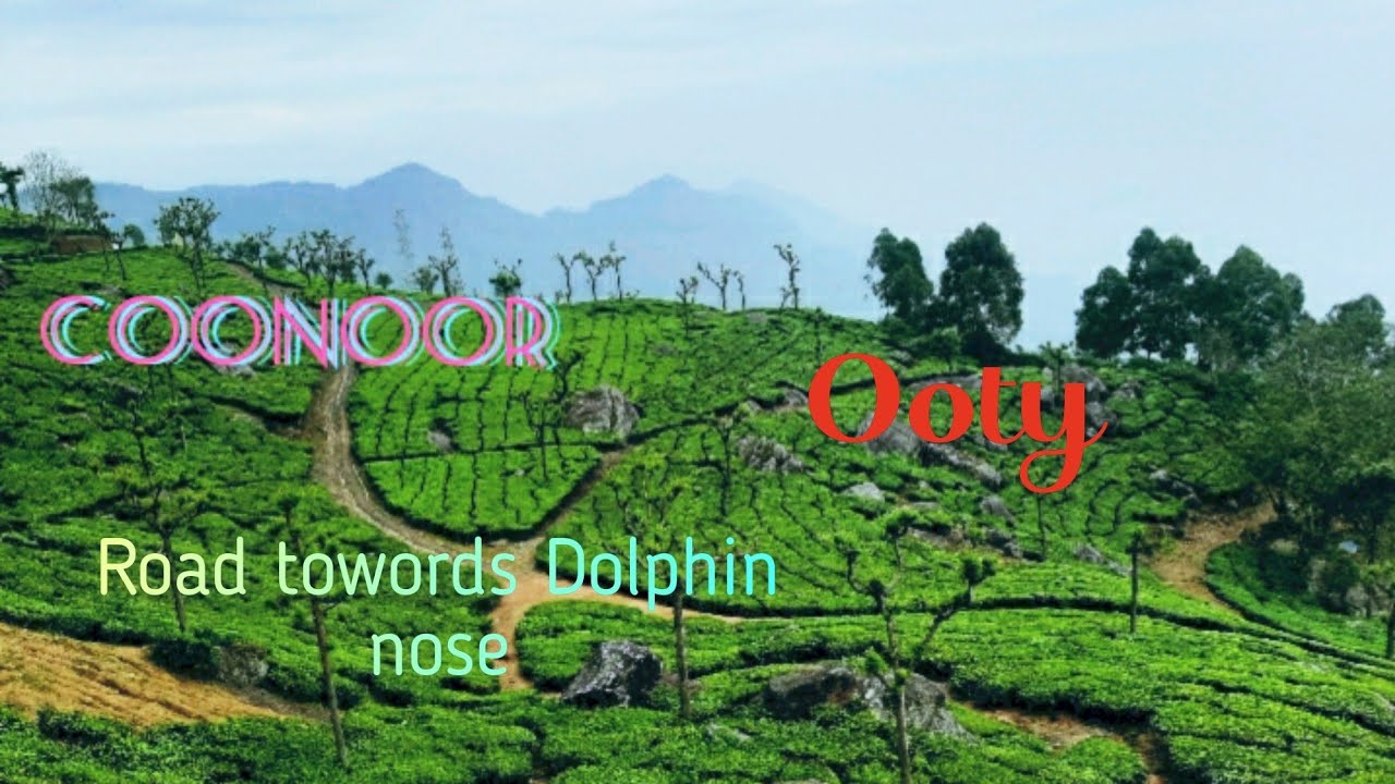 COONOOR ROAD TRIP TOWORDS DOLPHIN NOSE ! OOTY ! - YouTube