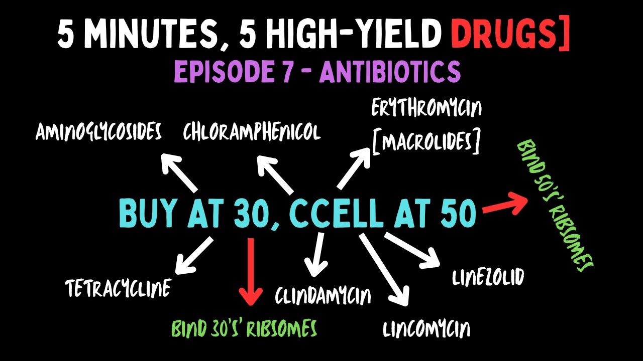 Antibiotics Pharmacology in 5 Minutes | USMLE First Aid Step 1, NBME ...