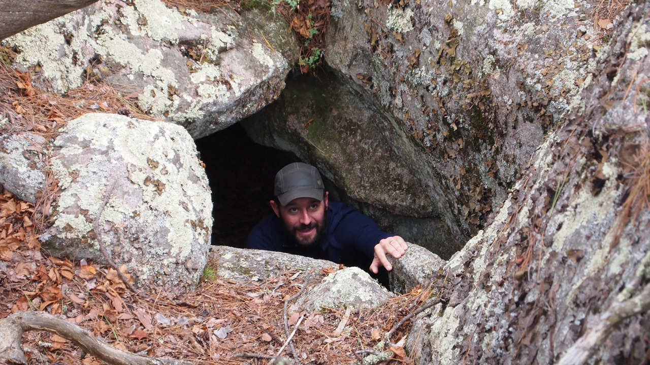 Pinewood Test Stream - YouTube