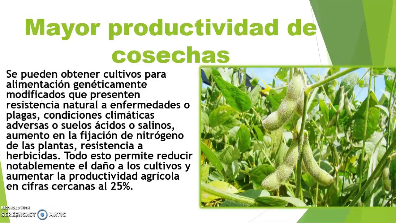 presentacion de Soja RR - YouTube