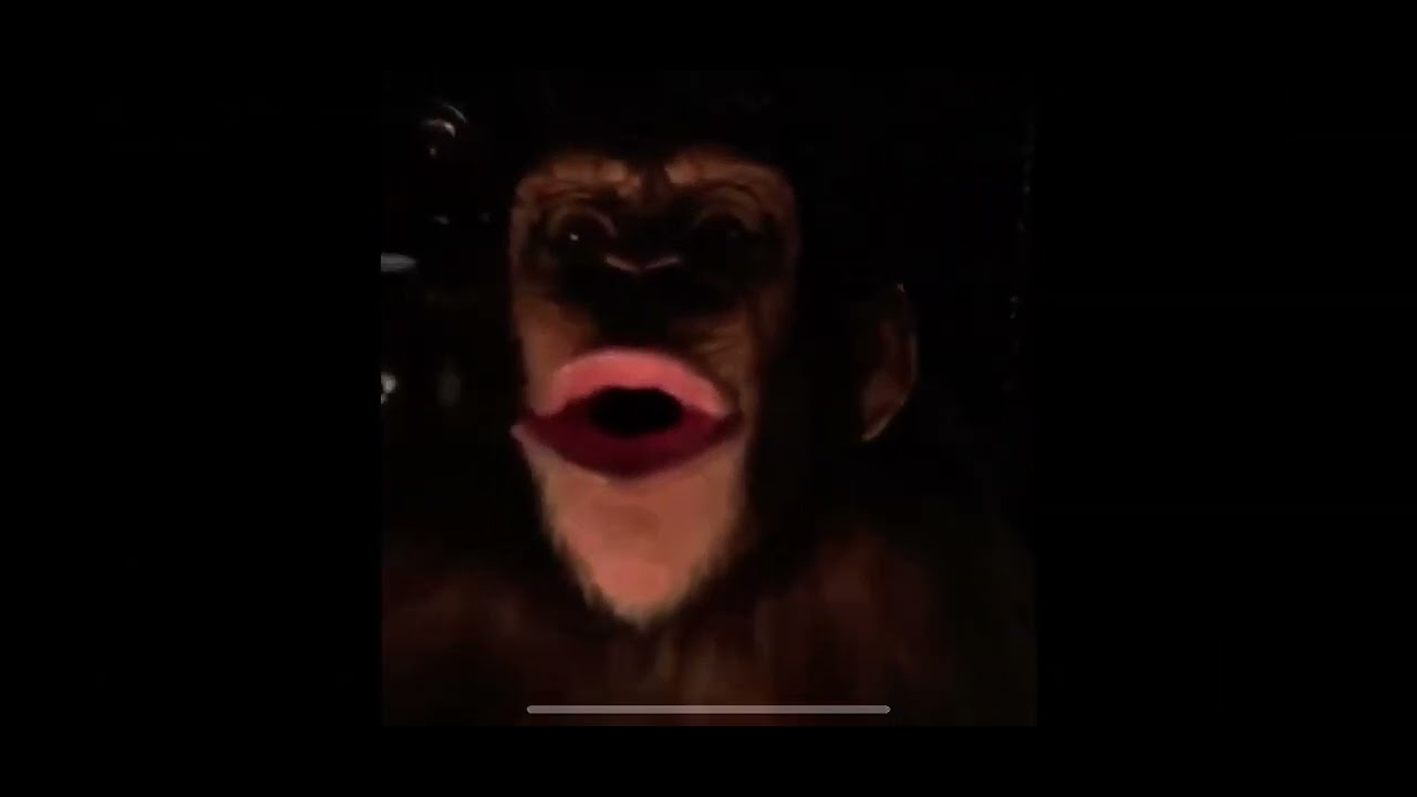 @Coolguy_2020 irl - YouTube
