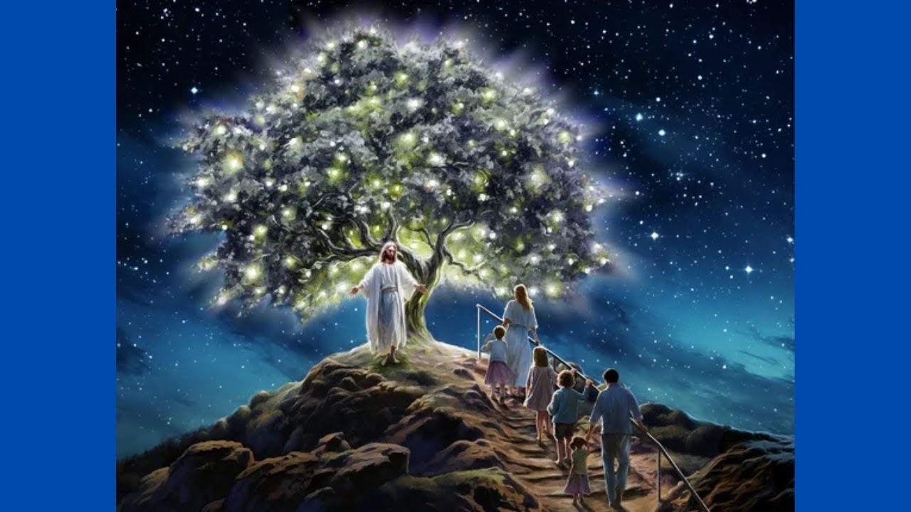 The Three Branches of Christianity: Orthodox, Catholic, & Protestant ...