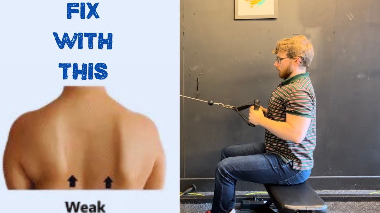 5 Exercises That Fix Scapular Winging | Complete Guide and Workout Plan ...
