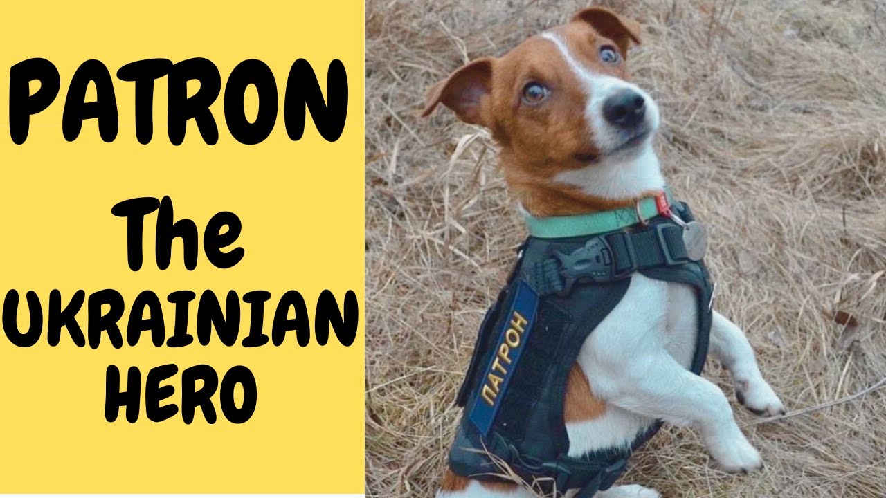 PATRON, the Ukrainian Hero - YouTube
