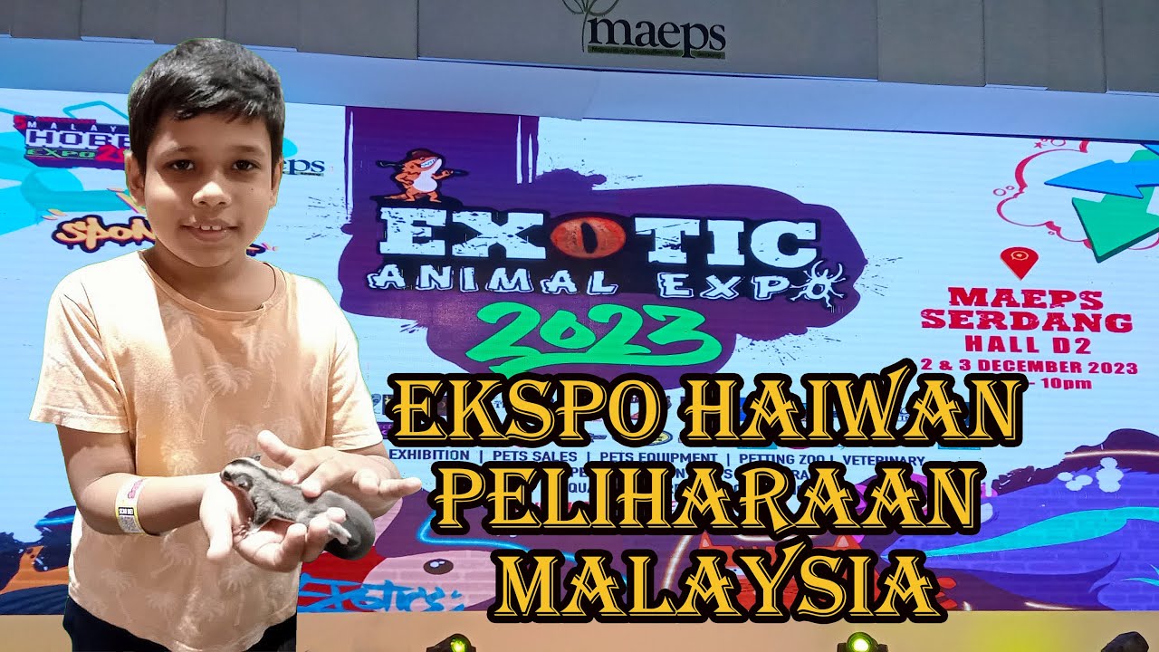 Exotic Animals Expo 2023 MAEPS Serdang - YouTube