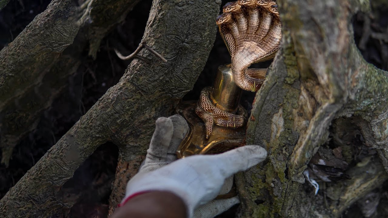 Gold Statue Found in a Snake Cave by Metal Detector - YouTube
