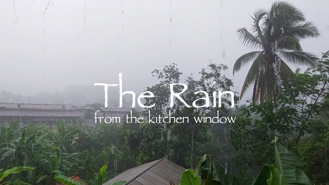 Enjoy the sound of rain from the kitchen window, ASMR - YouTube