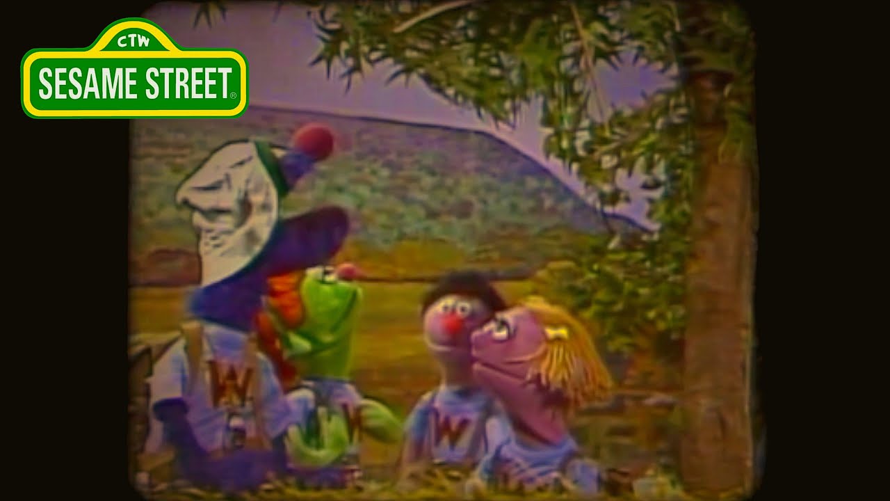 Sesame Street - Grover’s Lecture On Trees (1981) - YouTube